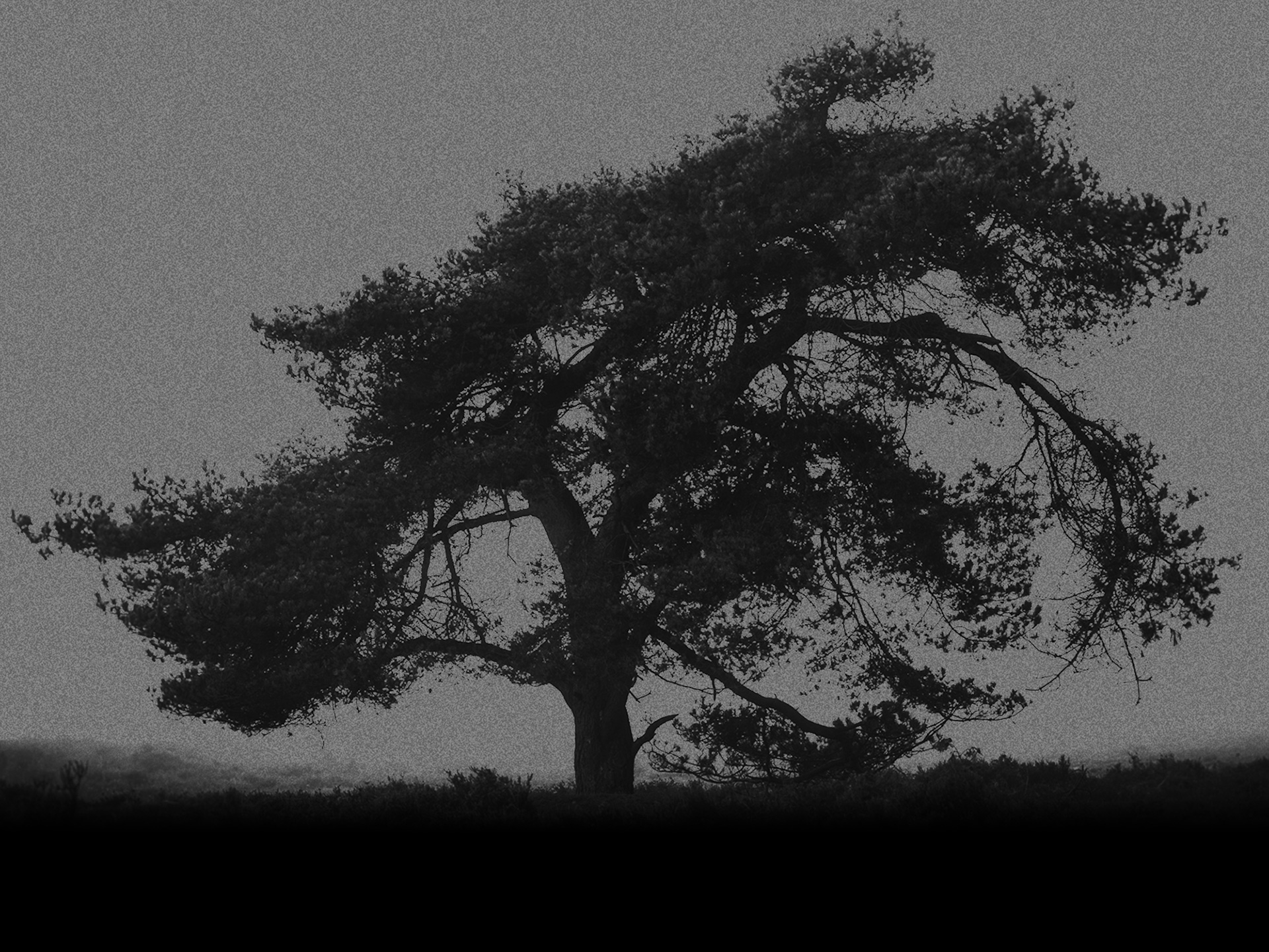 SOWULO | Celebrating our great pagan legacy